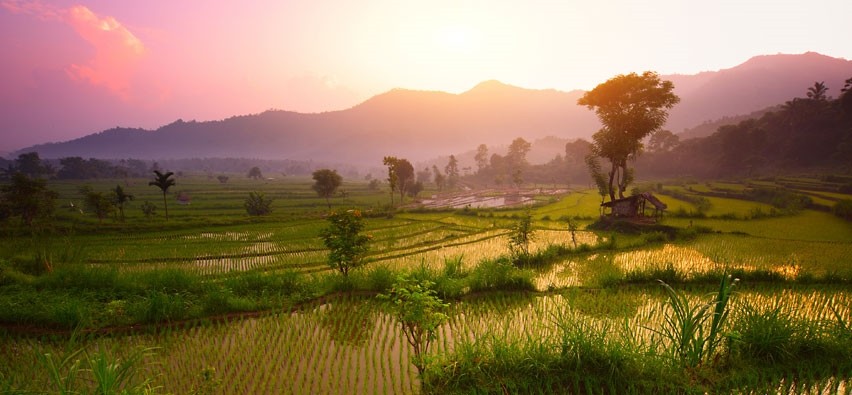 AN ARTS AND CRAFTS EXPEDITION IN BALI - Craftours